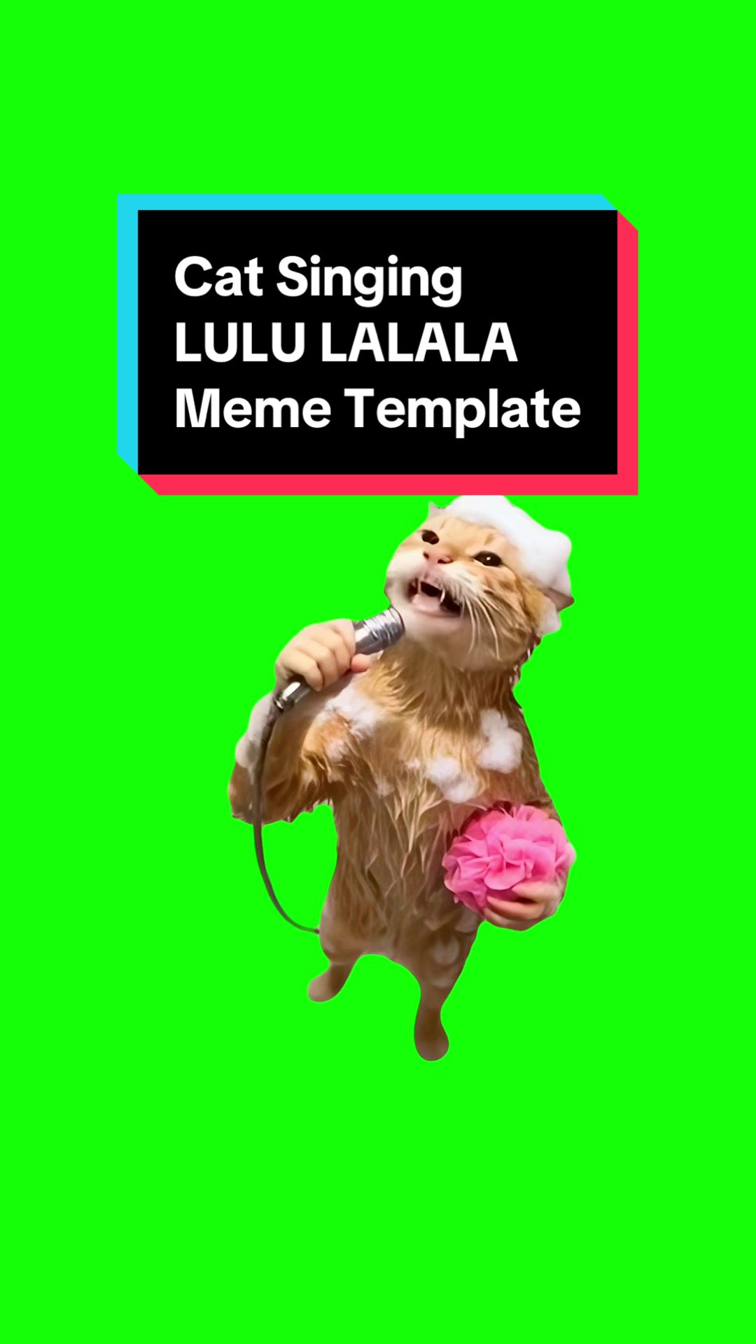 Cat Singing LULU LALALA Green Screen | CreatorSet.com AI Tools ...