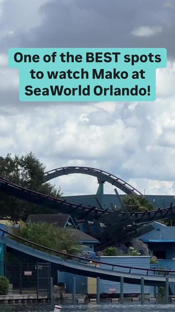 One of the BEST spots to watch Mako at | miketheolive521 (@coaster ...