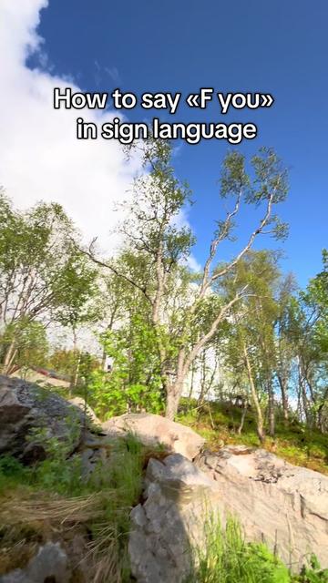 How to say «F you» in sign language | KODDFILMS (@koddfilms)