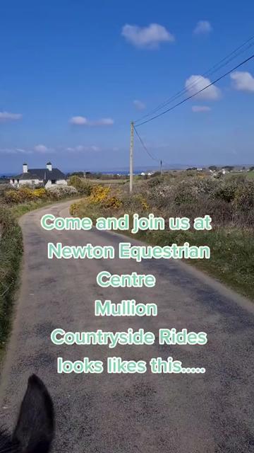 Newton Equestrian Centre (@newton_equestrian_centre) - Urlebird