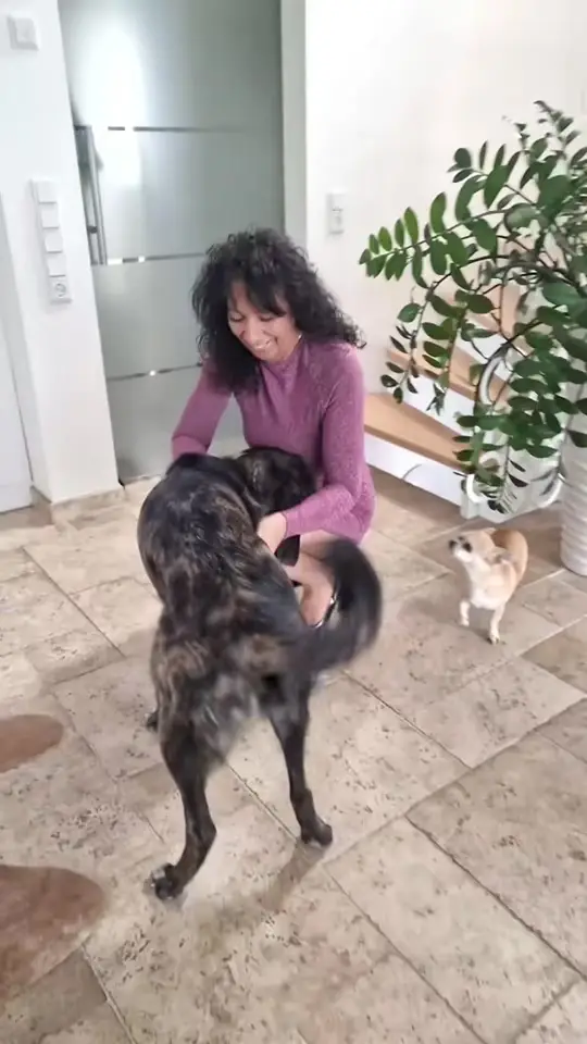 Milla Changeable (@millachangeable) - Urlebird