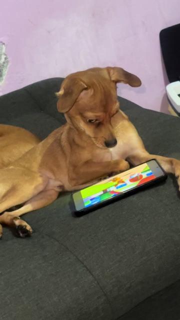 choreography by @𝒞𝓁𝒶́𝓊𝒹𝒾ℴ ☆ 🔥 | Denis Frank (@denisfrank779)