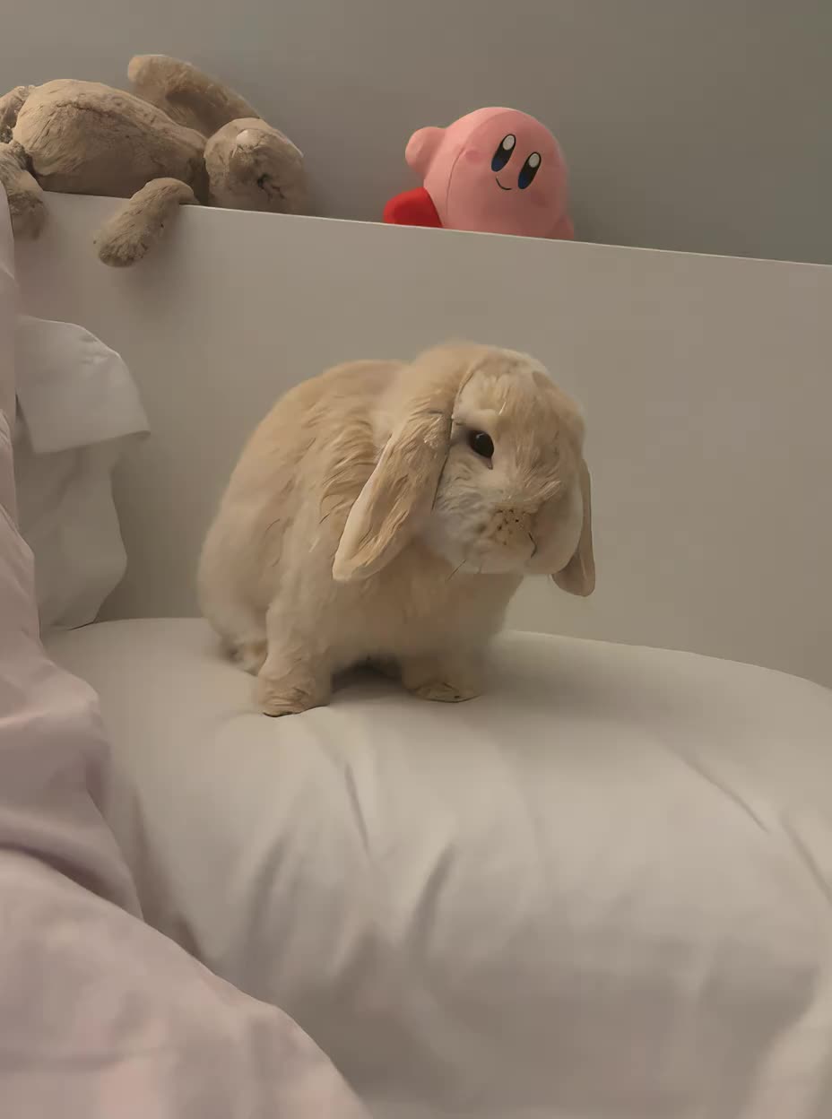 Jess🤍 (@jessgeng) - Urlebird