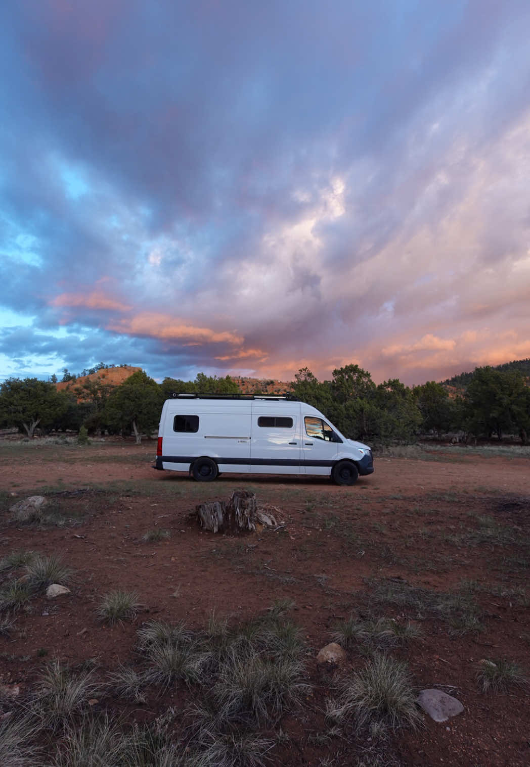 Sarah Foss (@sarahhfoss) - Urlebird