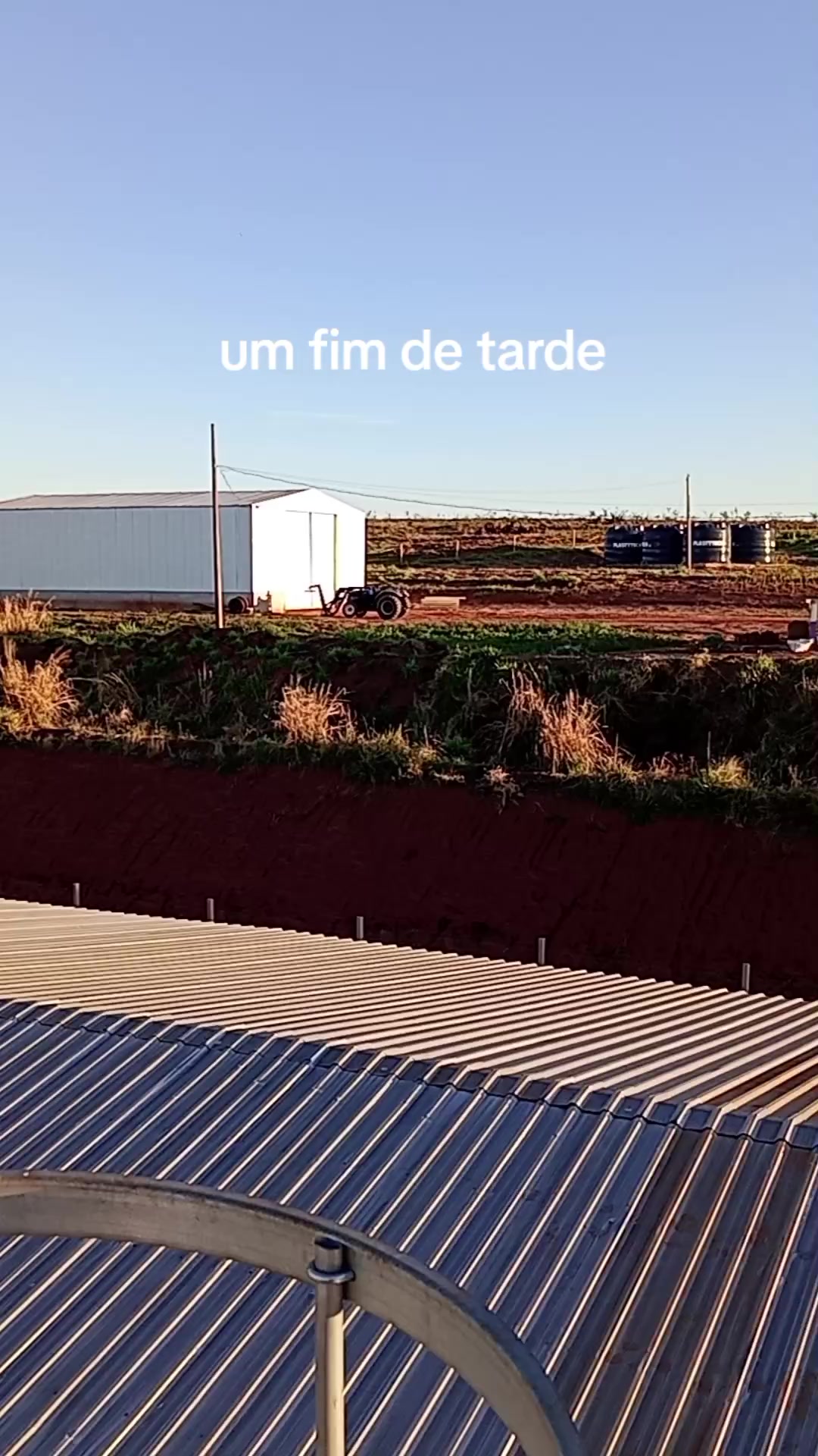 Priscila de Fátima (@prisciladefatimai) - Urlebird