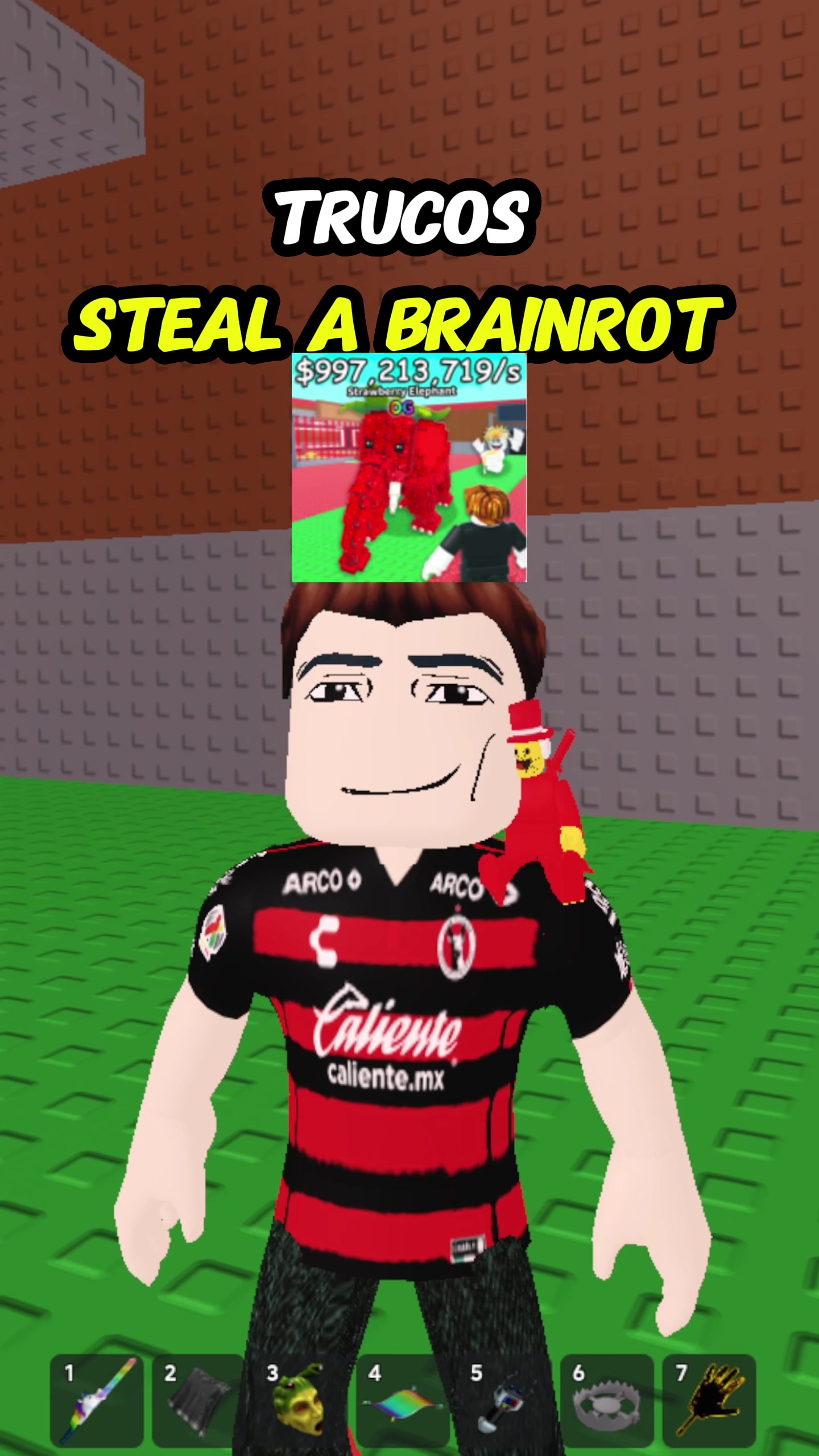 monooaxaco (@monooaxaco) - Urlebird