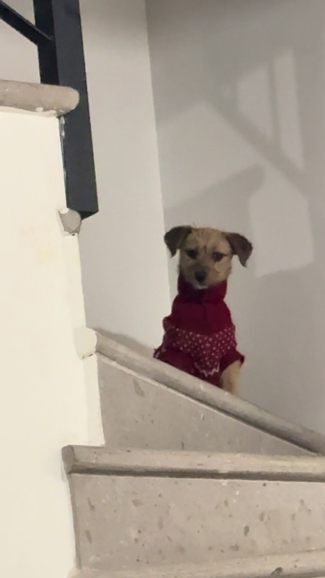 #sulasoktvofficial #pinay | Sulasok TV (@sulasoktv_official)