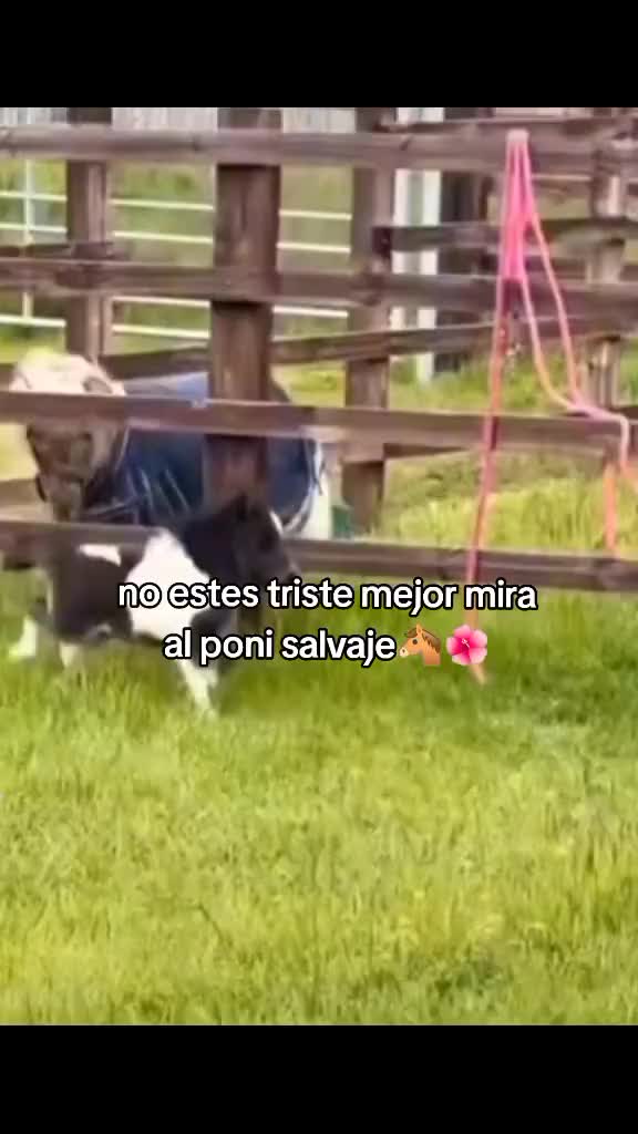 Thick Thigh Thursday 🤓😉 #thickwomen | Bella Mkay (@thebellamkay)