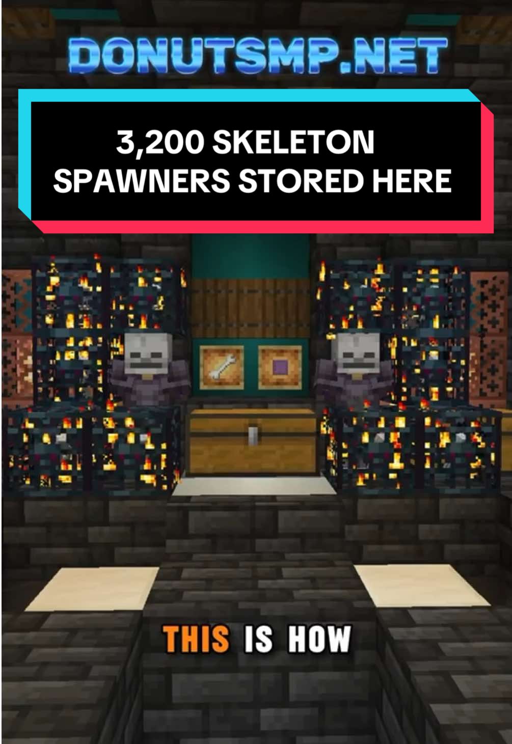 How I Store Over 3 000 Skeleton Ravvixsmp Ravvixsmp