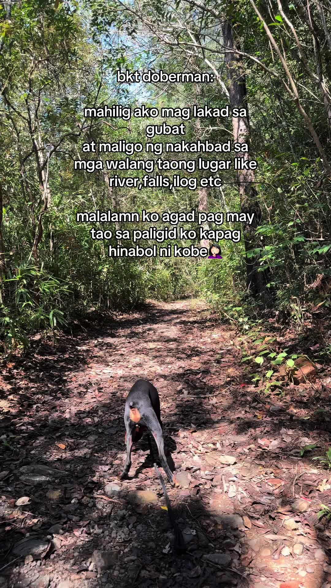 nicolelabarette (@nicole_labarette) - Urlebird