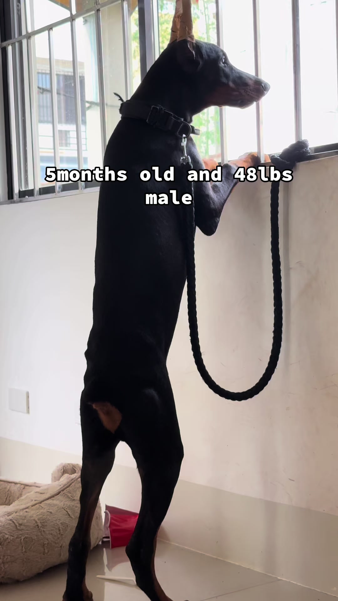 nicolelabarette (@nicole_labarette) - Urlebird