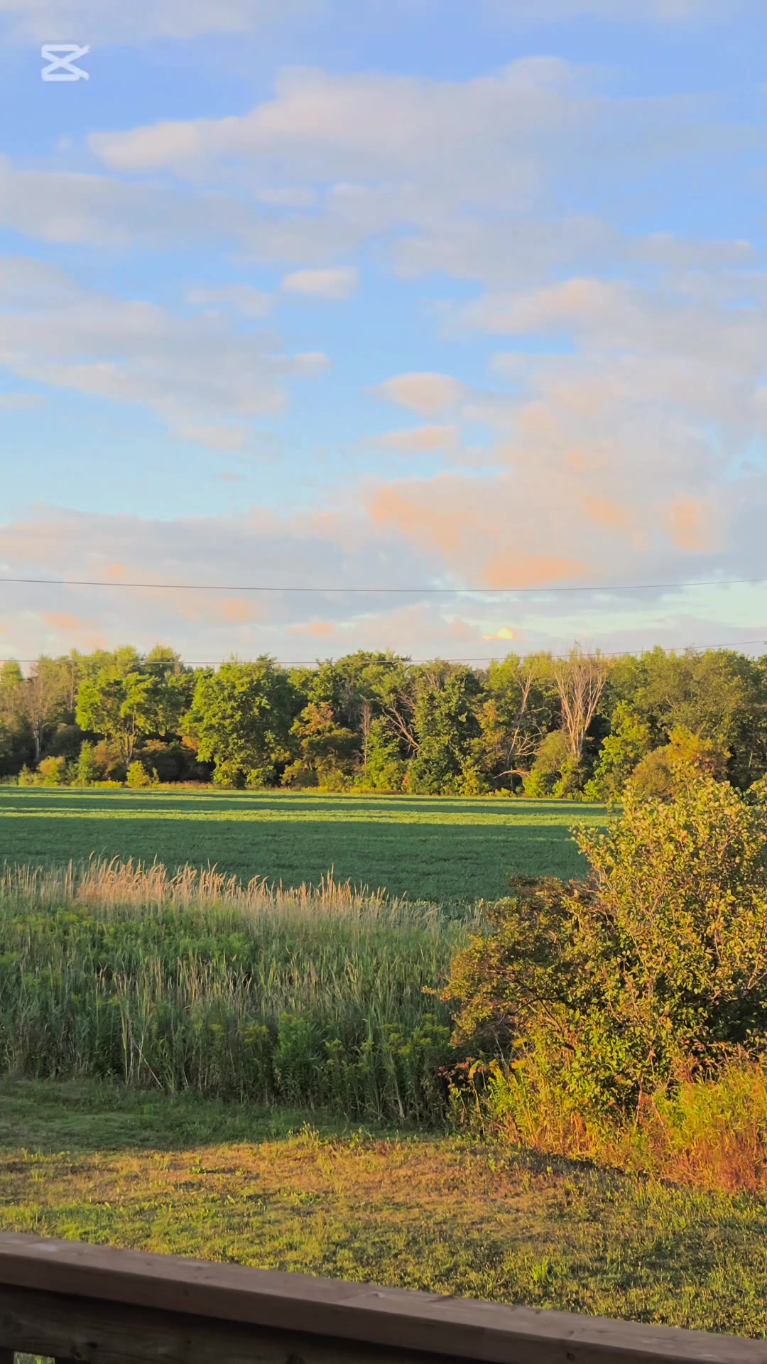 the_crafty_kai🇨🇦 (@the_crafty_kai) - Urlebird