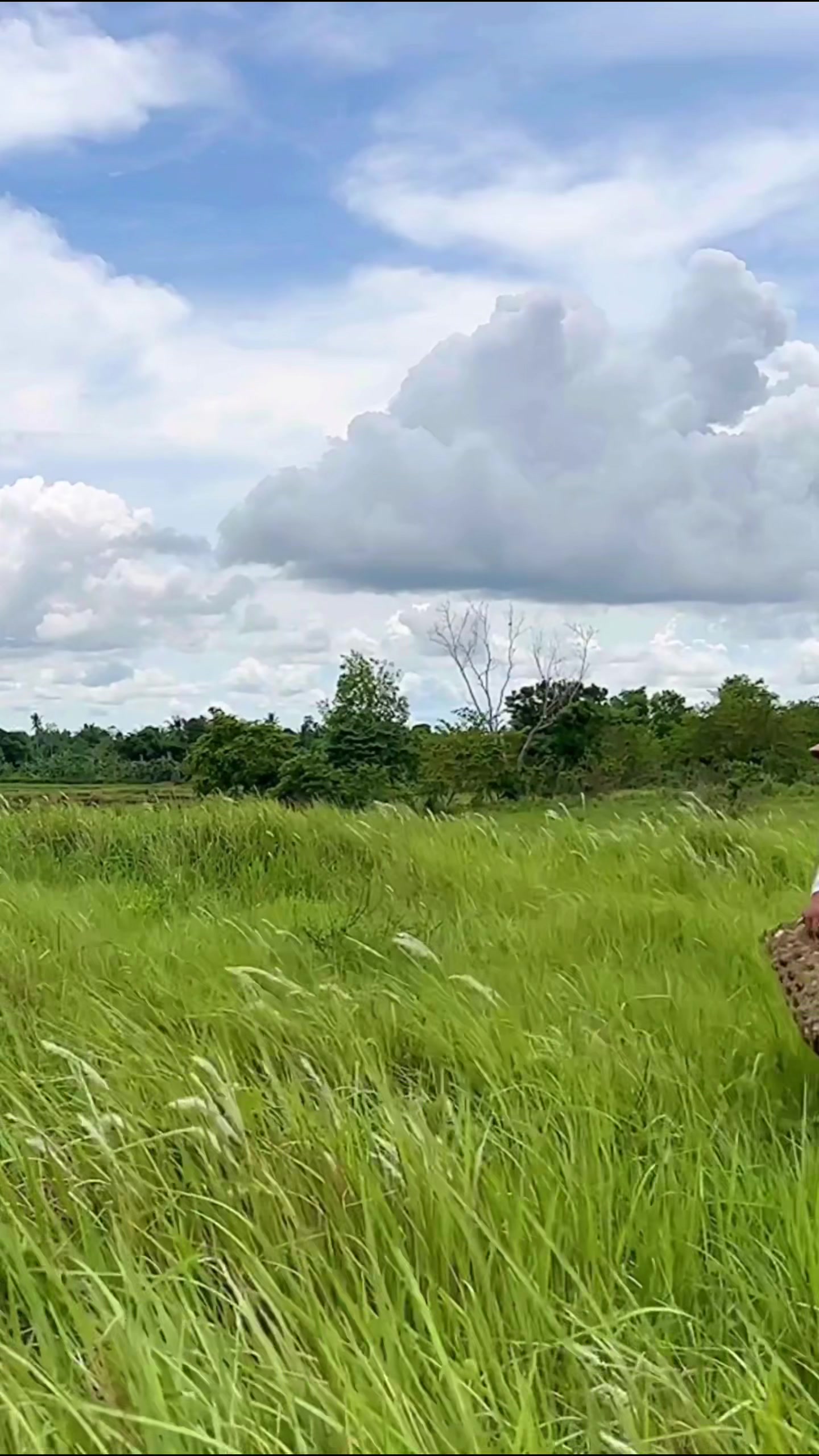 Joseph The Explorer Products (@josephthexplorerofficial) - Urlebird