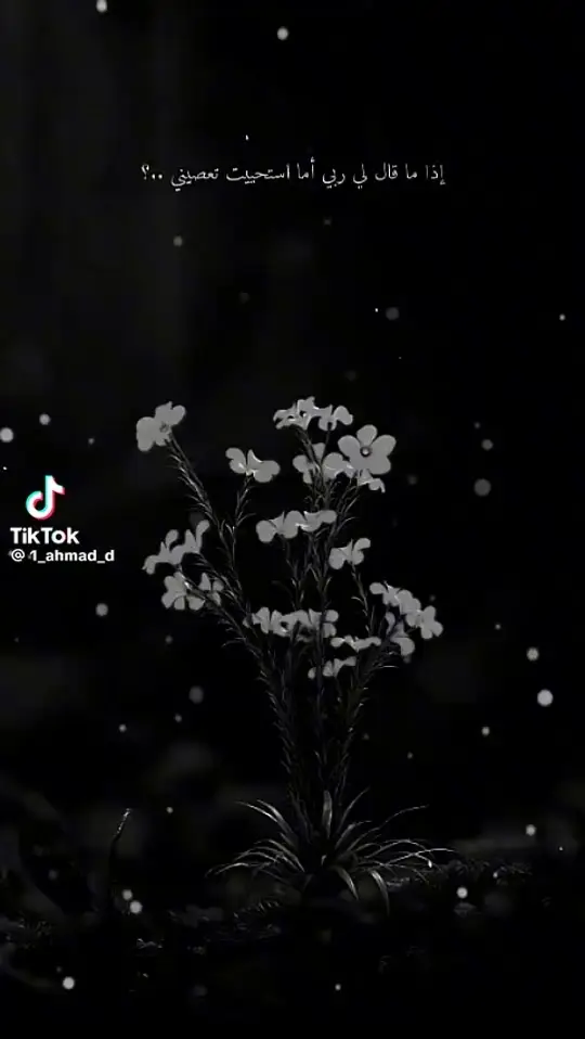 lkj mnbv (@lkjmnbv) - Urlebird