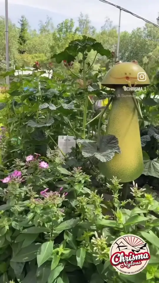 Chrisma (@chrisma_nylons) - Urlebird