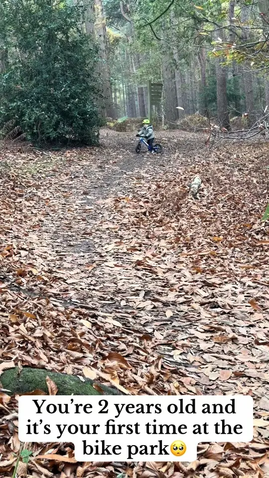 Ashlee Louise (@ashlee_louise) - Urlebird