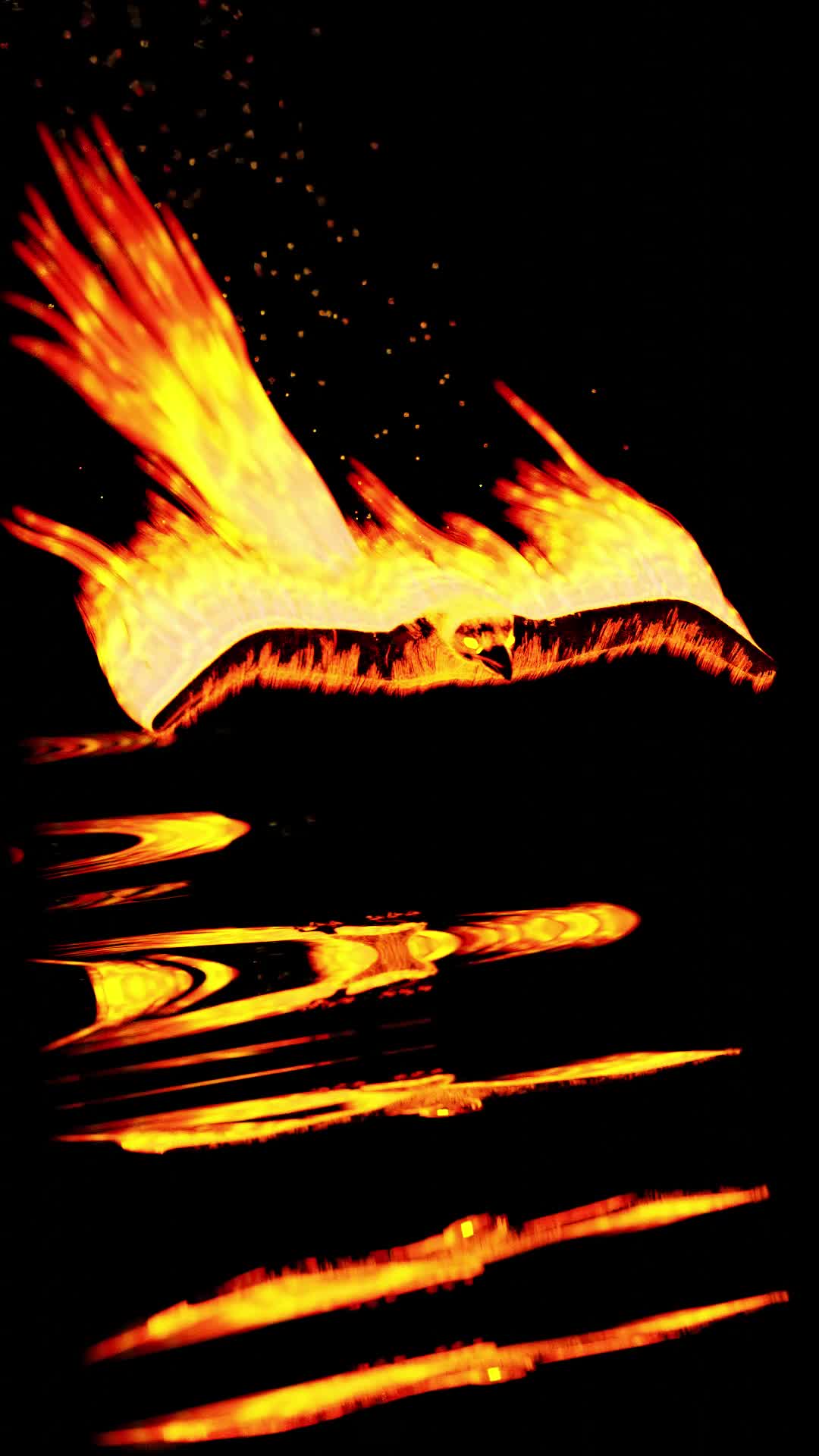 Phoenix in Flight, an animation by | Rob Tunstall (@robtunstallmusic)