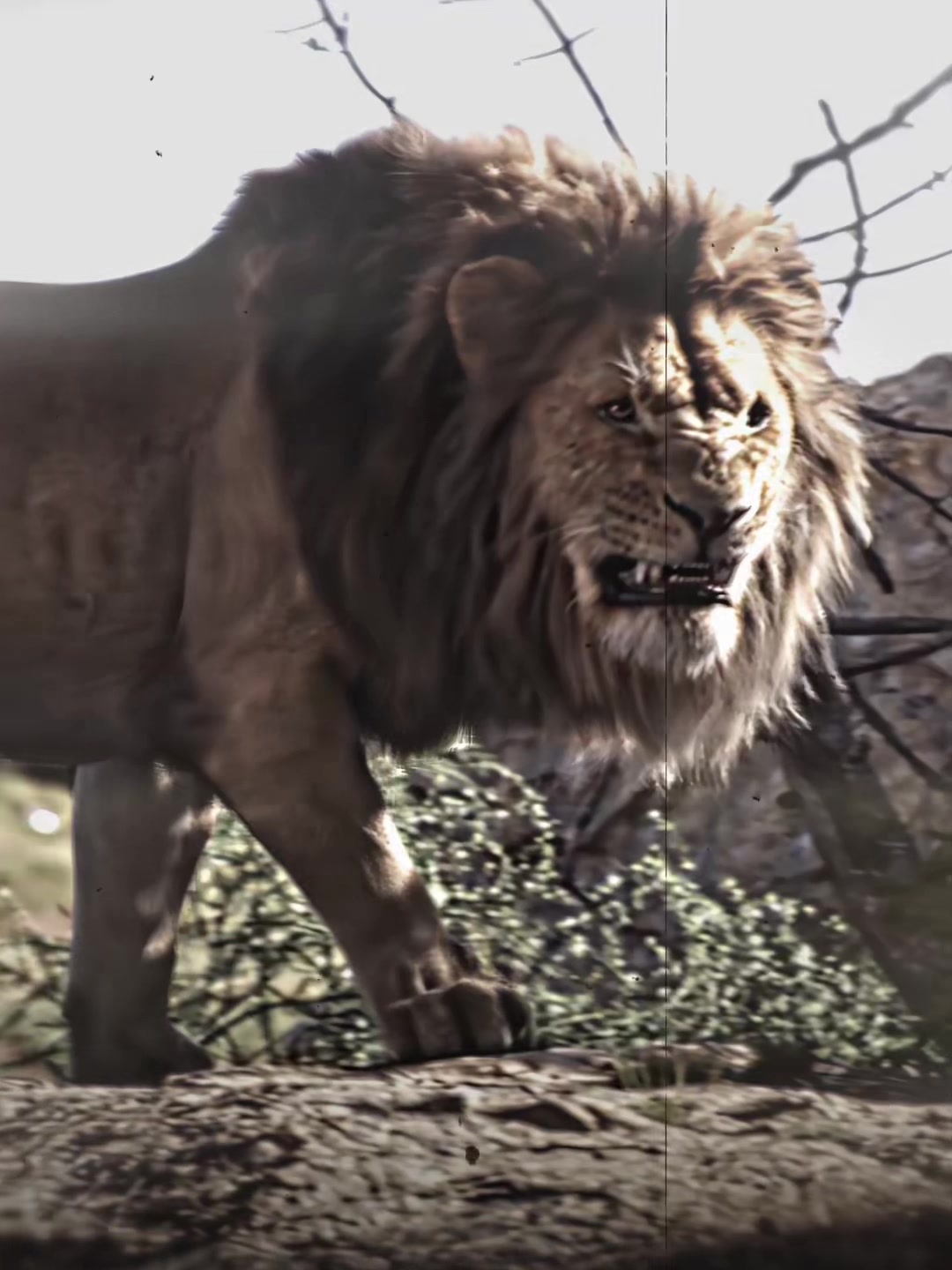 Mufasa is really so cool!The true lion | Allison_edit2 (@allison_edit2)