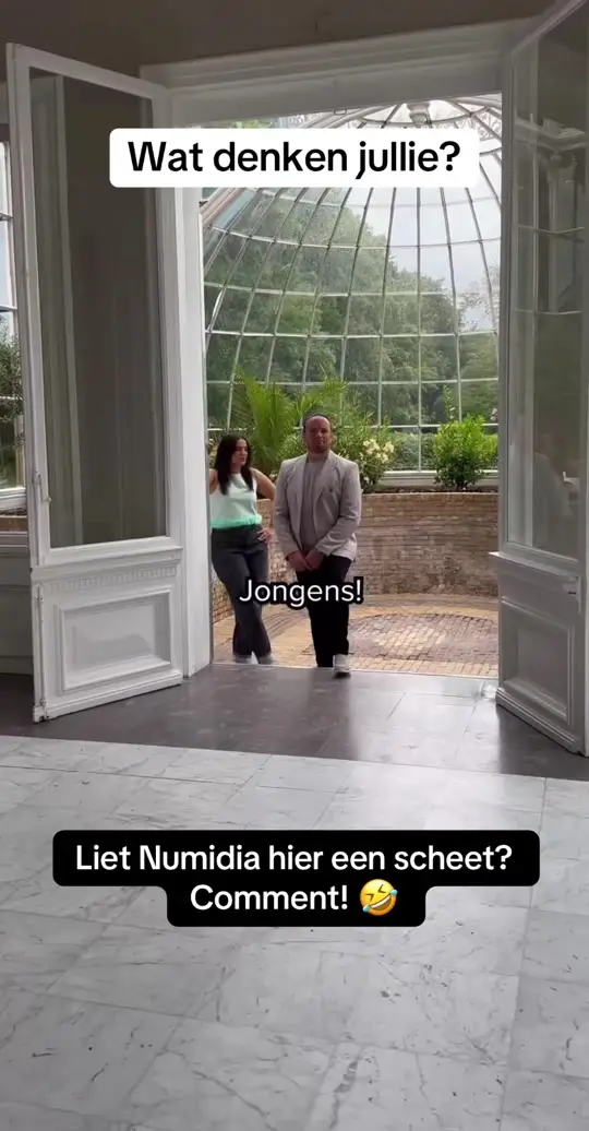 Liet @Numidia hier een scheetje? 🥰 | Funny_Farts2025 (@funny_farts2025)