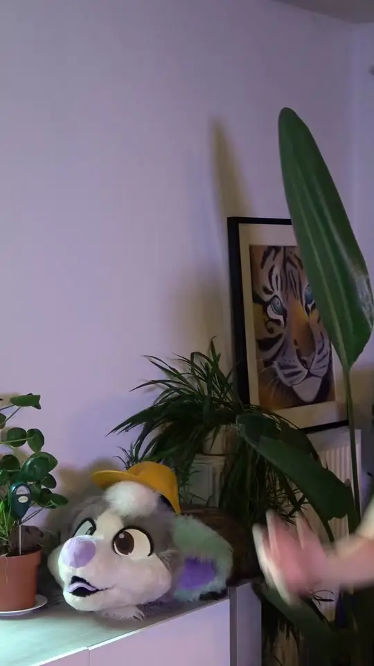 Pup Davey (@pupperdavey) - Urlebird