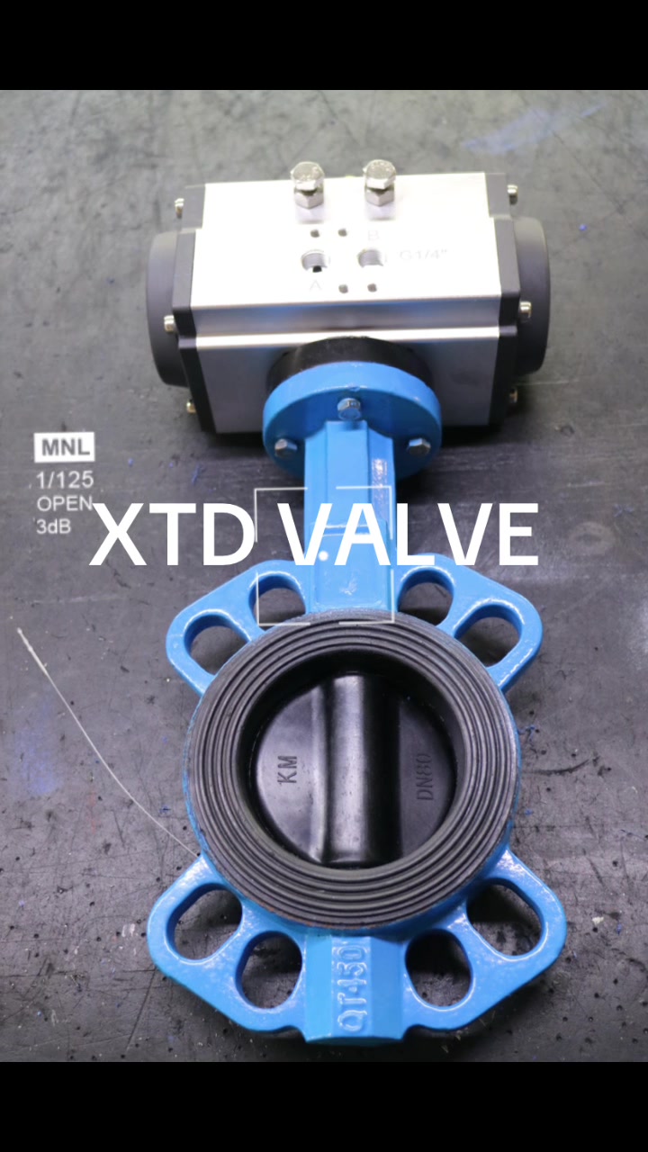 Fully Rubber - Lined Wafer Butterfly | VALVE FACTORY (@bonnieliu84)