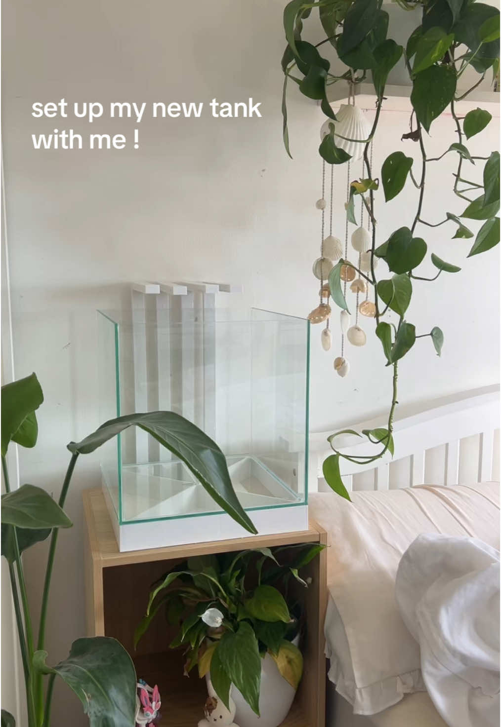 in looove with my new fishtank ! if you | ellie 🌱 (@ellianasfish)