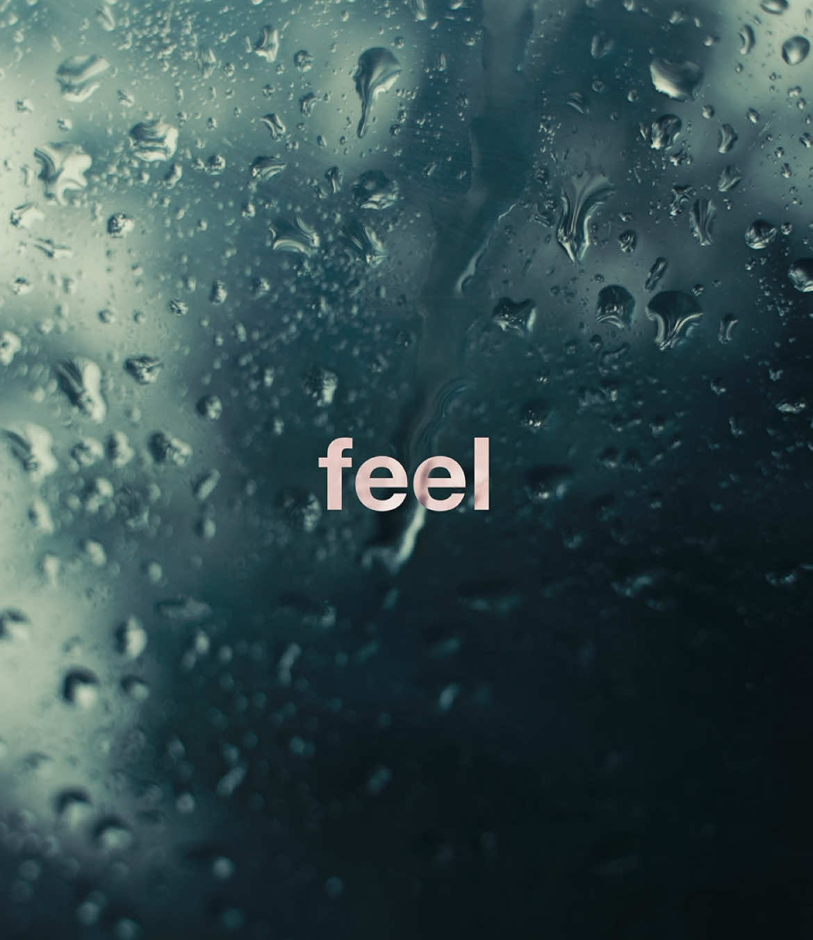 Creating to feel 🎞️🖤 #cinematography | Frederik Sørensen (@f.sorensen)
