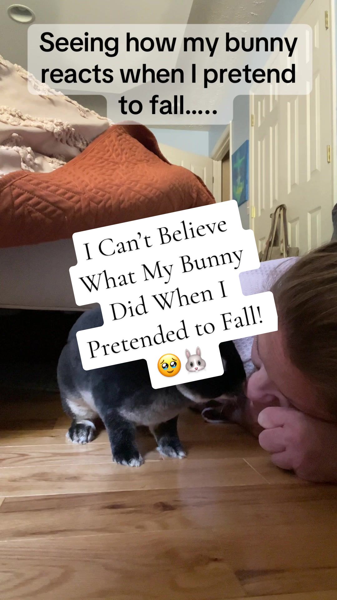I Can’t Believe What My Bunny Did When | Wendy|Empty Nester & Life ️ ...