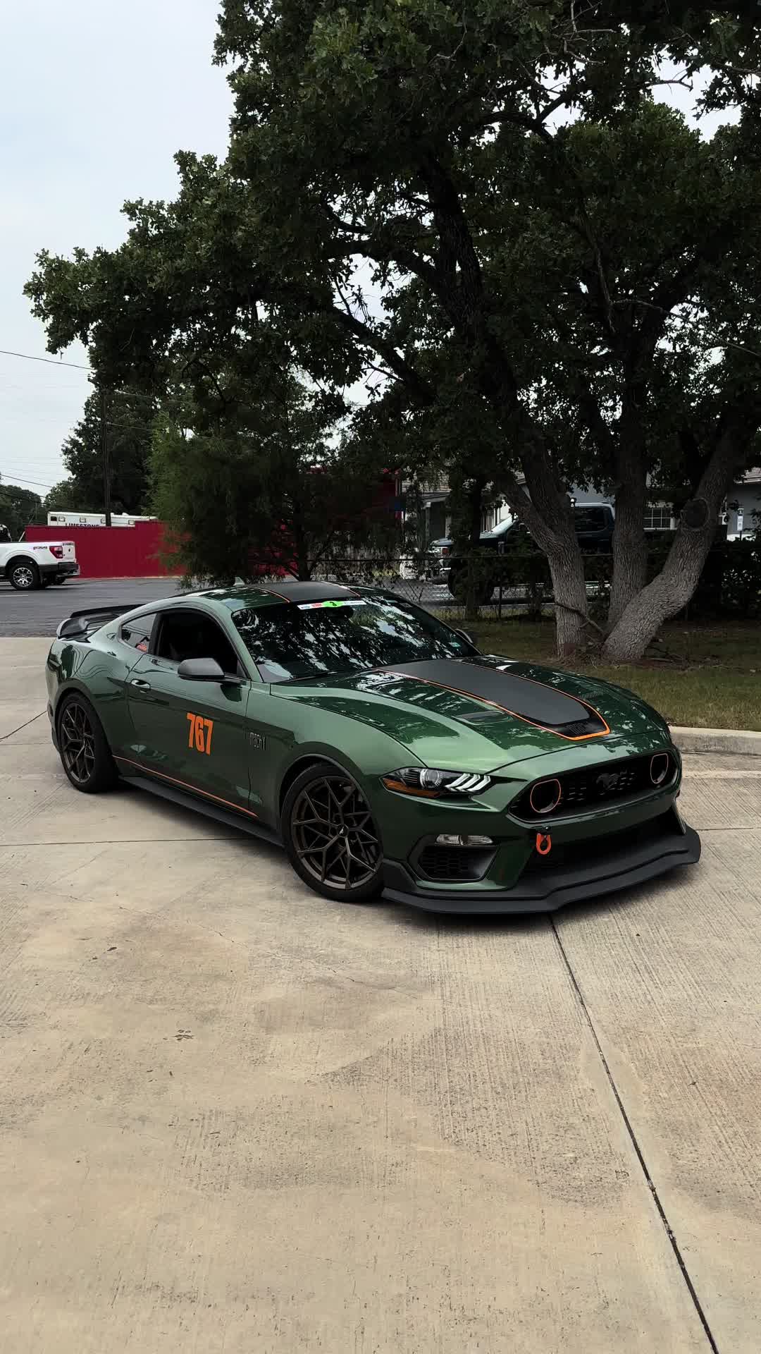 DSG Performance (@dsg.performance) - Urlebird