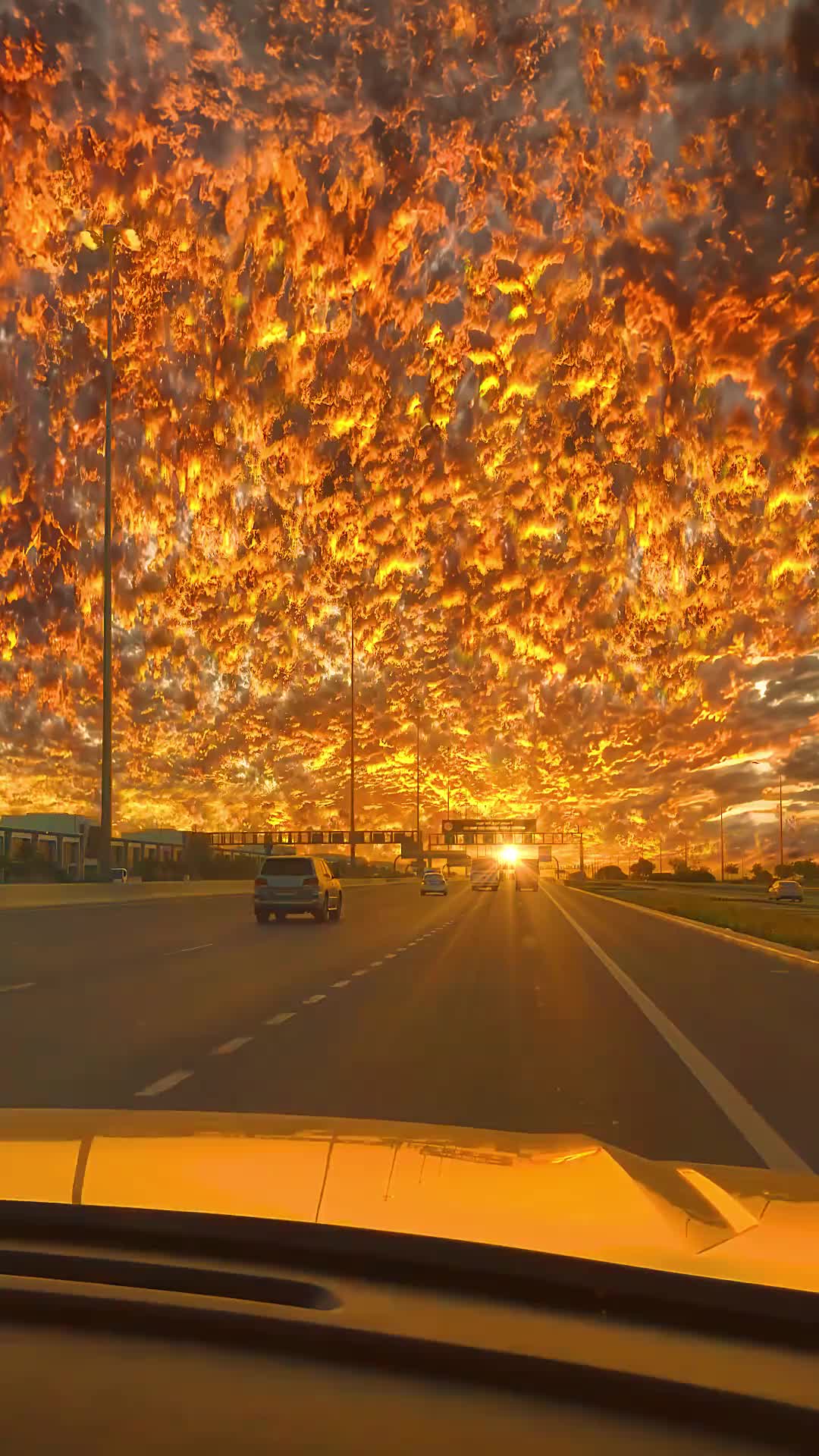 Marcus always makes his own rigatoni | roflgator (@roflgatorvr)