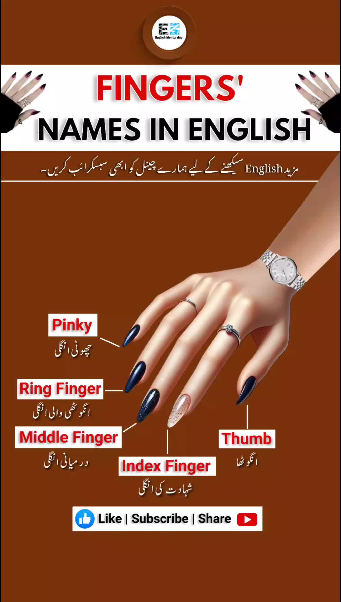 Fingers name in English | Fingers name | English Mentorship ...