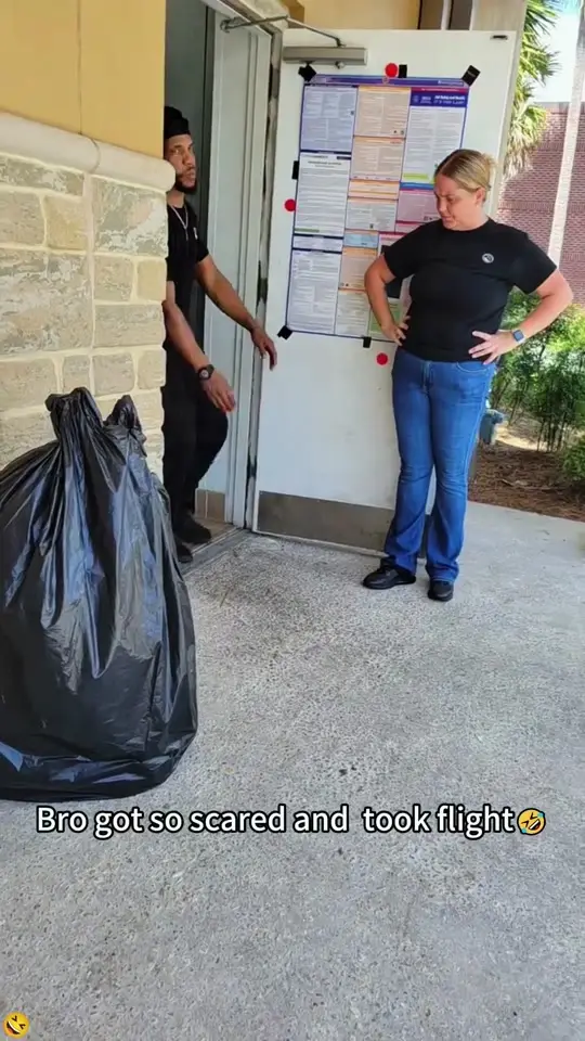 Mchongoano battle 3 .|Bob kichwangumu | Animation PGC (@animationpgc)