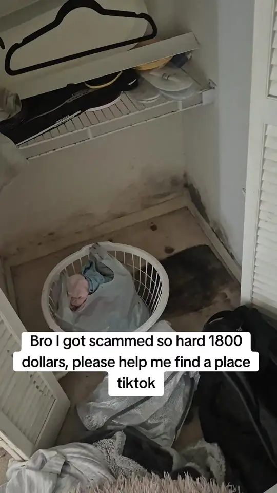 MANY SUMMERS LATER (Gravity Falls) | CARTOONSAUR (@cartoonsaur)