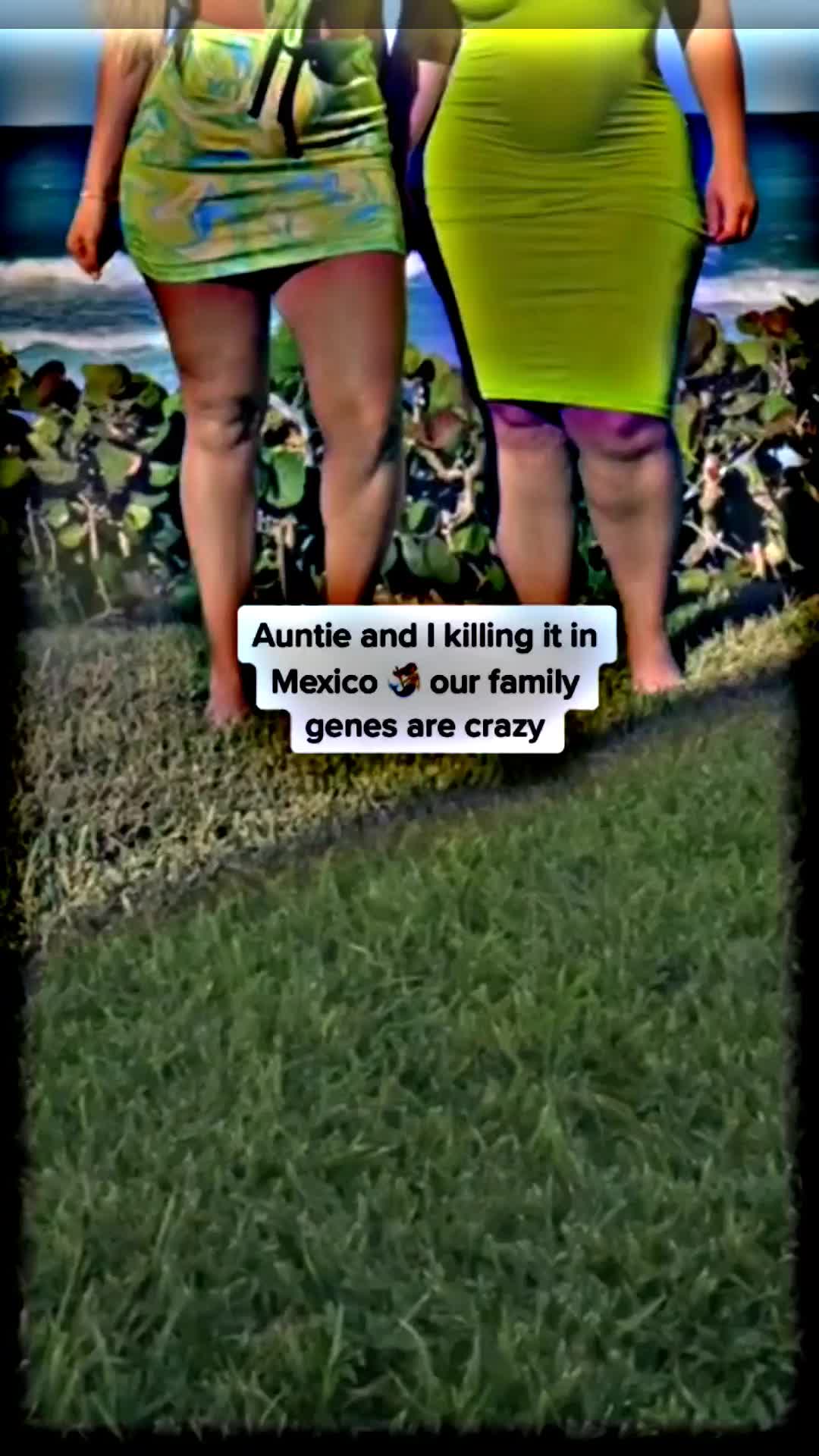 Up to Faster 4 Parison to Bo & Bobo | Ciro Nunziata (@cironunziata7560)