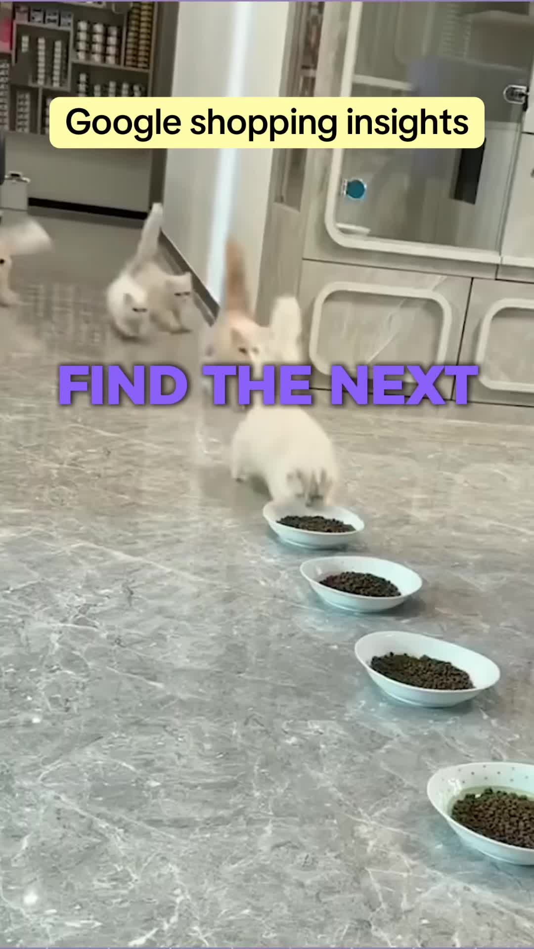 🦄 @nestscale_official - NestScale_Official - TikTok