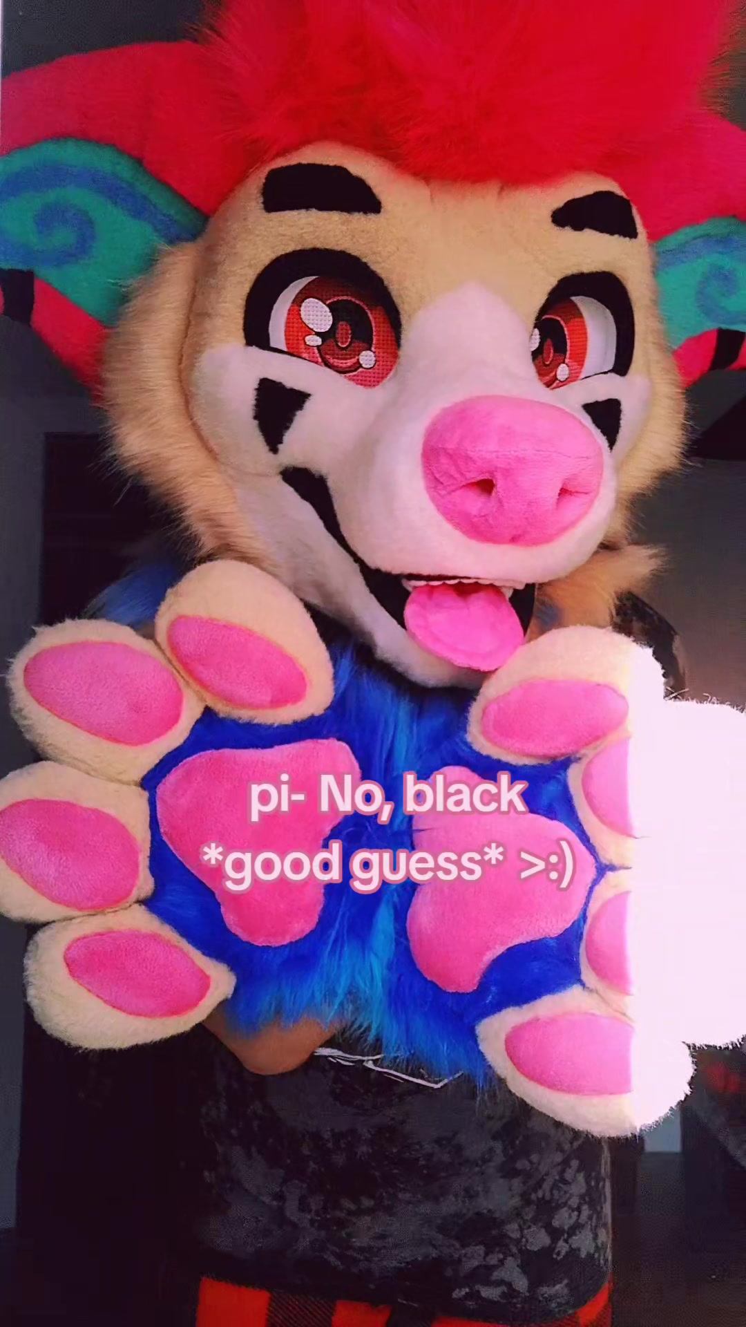 you can ask me questions in the | Chester Jester (@chester_salt_jester)
