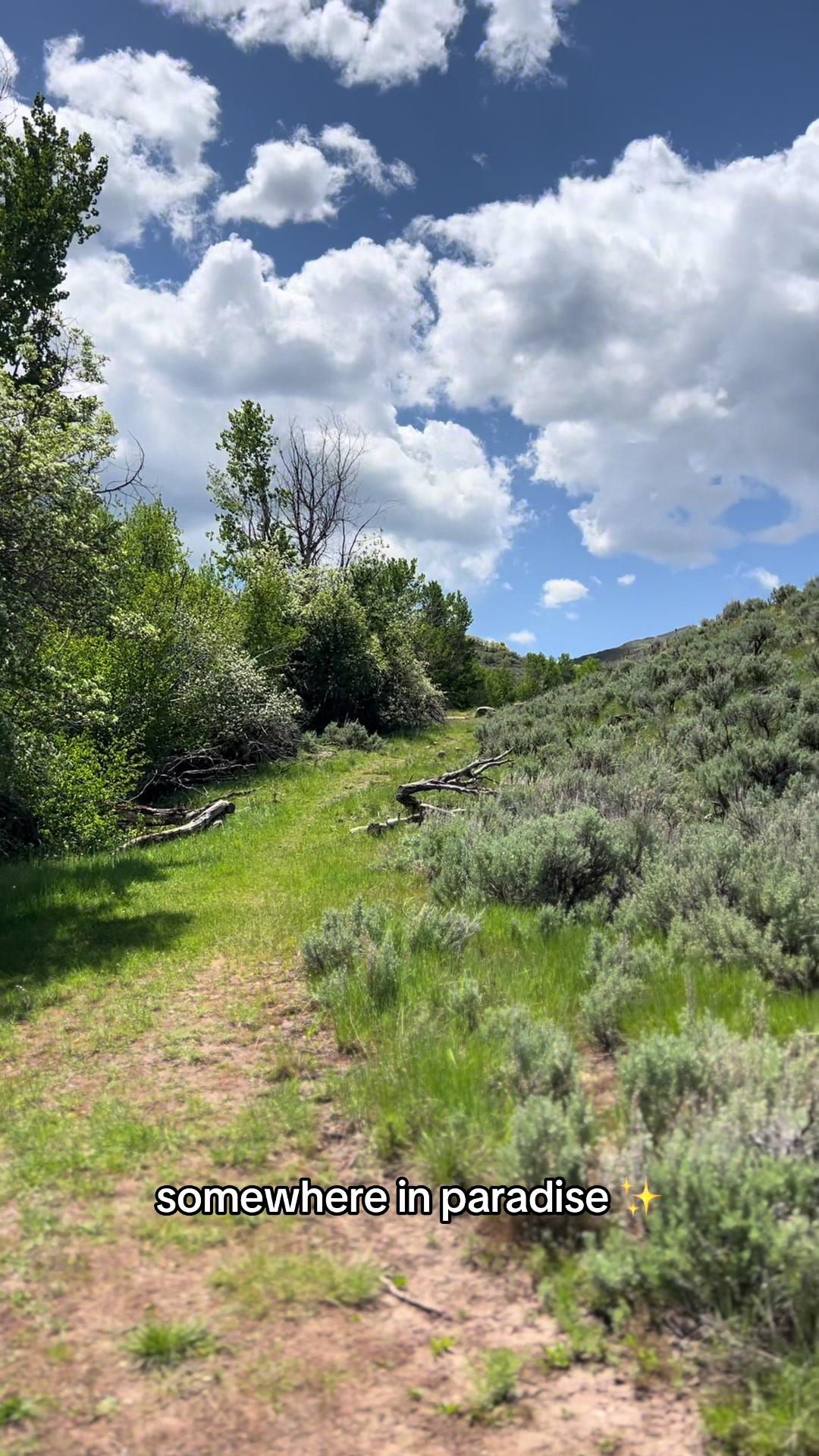 mimi jones (@mccandliss182) - Urlebird