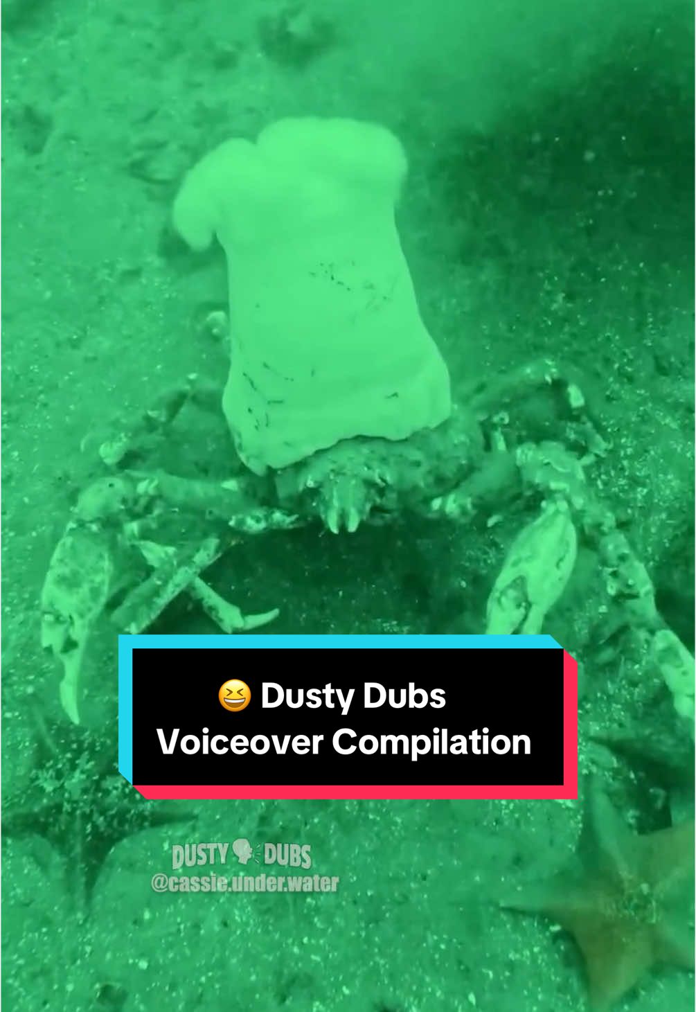 Dusty Dubs (@dustymdouglas) - Urlebird