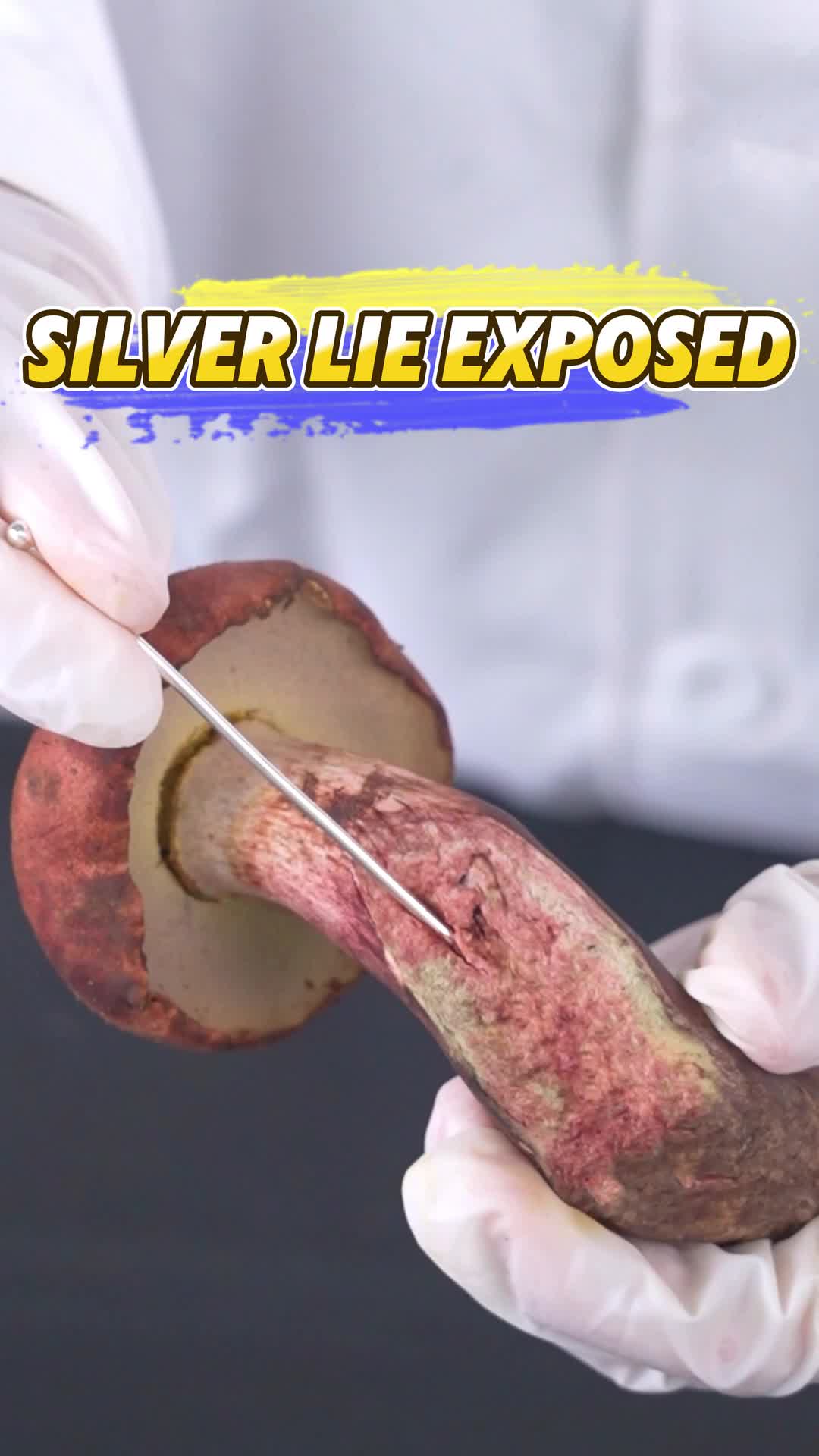 Miwu Science (@miwuscience) - Urlebird