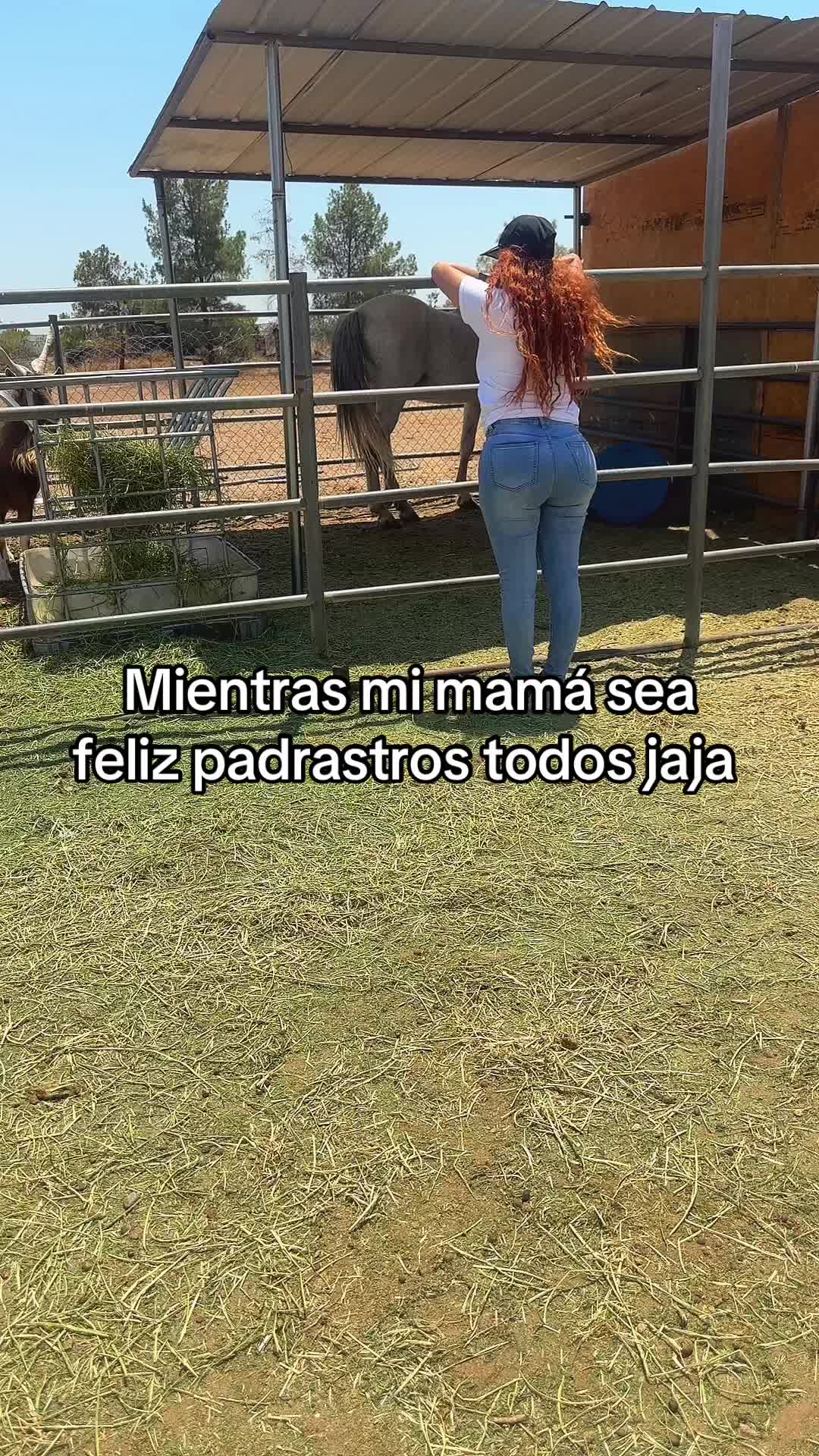 Just going through the safety features | FakeTruck (@fake_trucker)