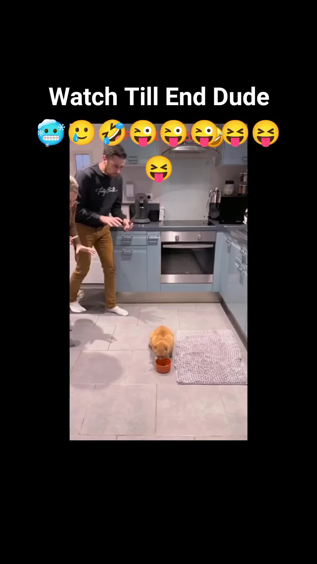 🦄 @eternalpassengerofficial - Eternal Passenger - TikTok