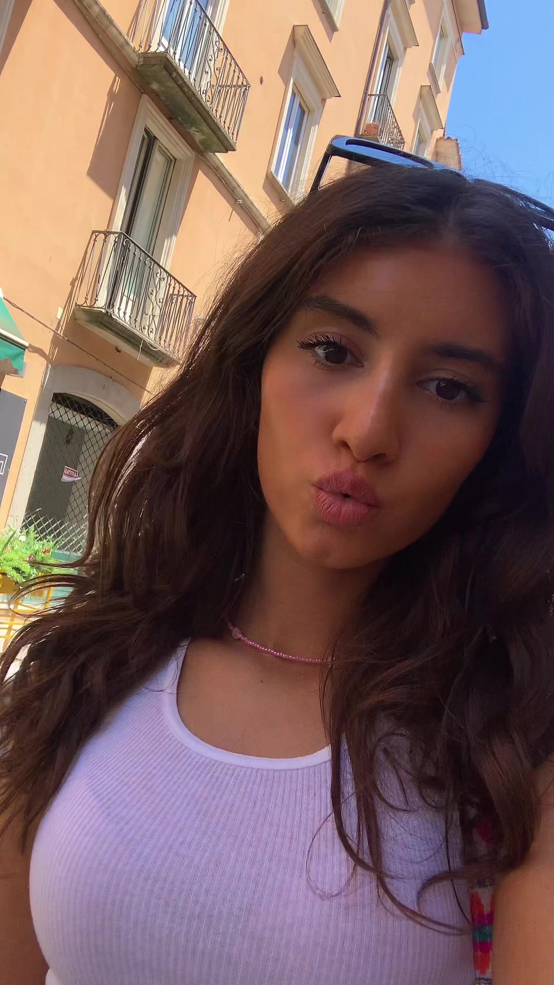 Best berry farm on donut smp with | vyn3tra (@vyn3tra)