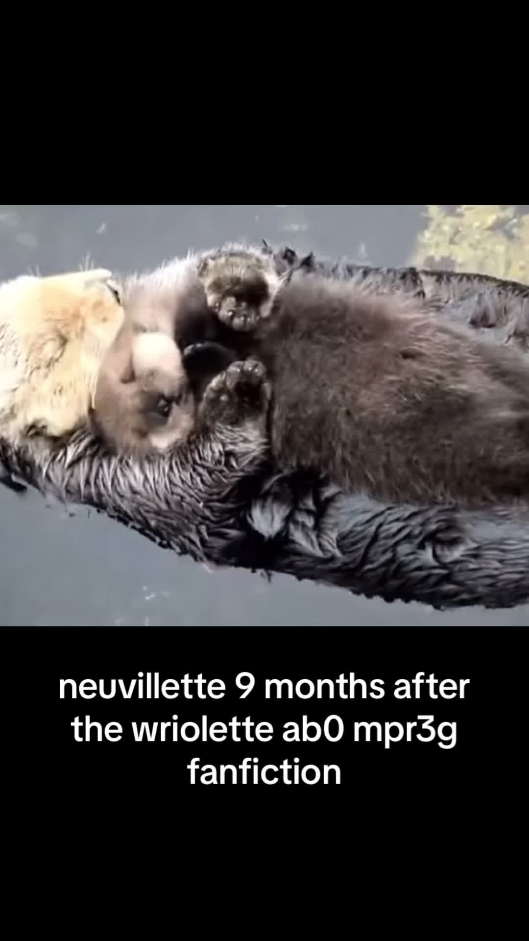 AnnPlan (@annplaned) - Urlebird