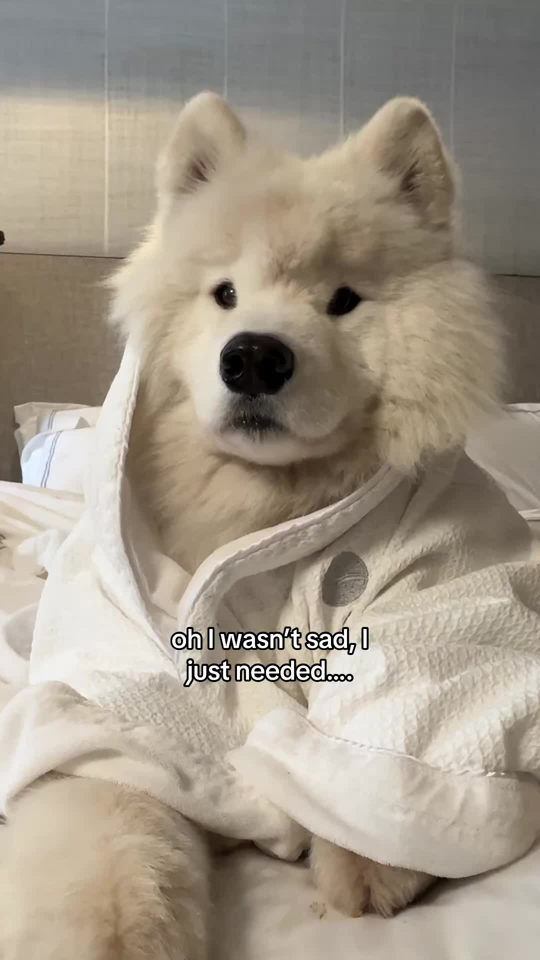 The one cure for pretty much anything | Charishma + Boomer (@life.with ...