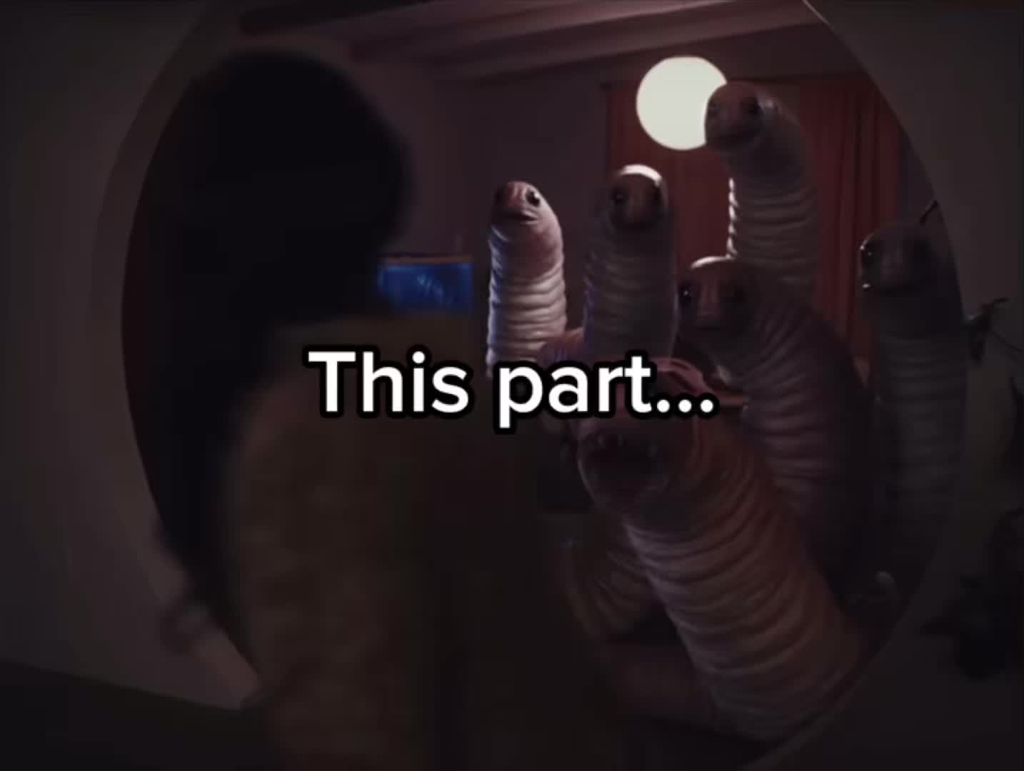 happy thanksgiving 🫶🏻 | ella fredrickson (@ellafredrickson)