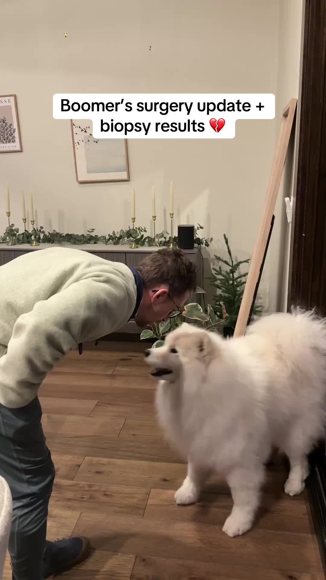 Oh my Boomsie 🥺💔 We are trying to stay | Charishma + Boomer (@life.with ...