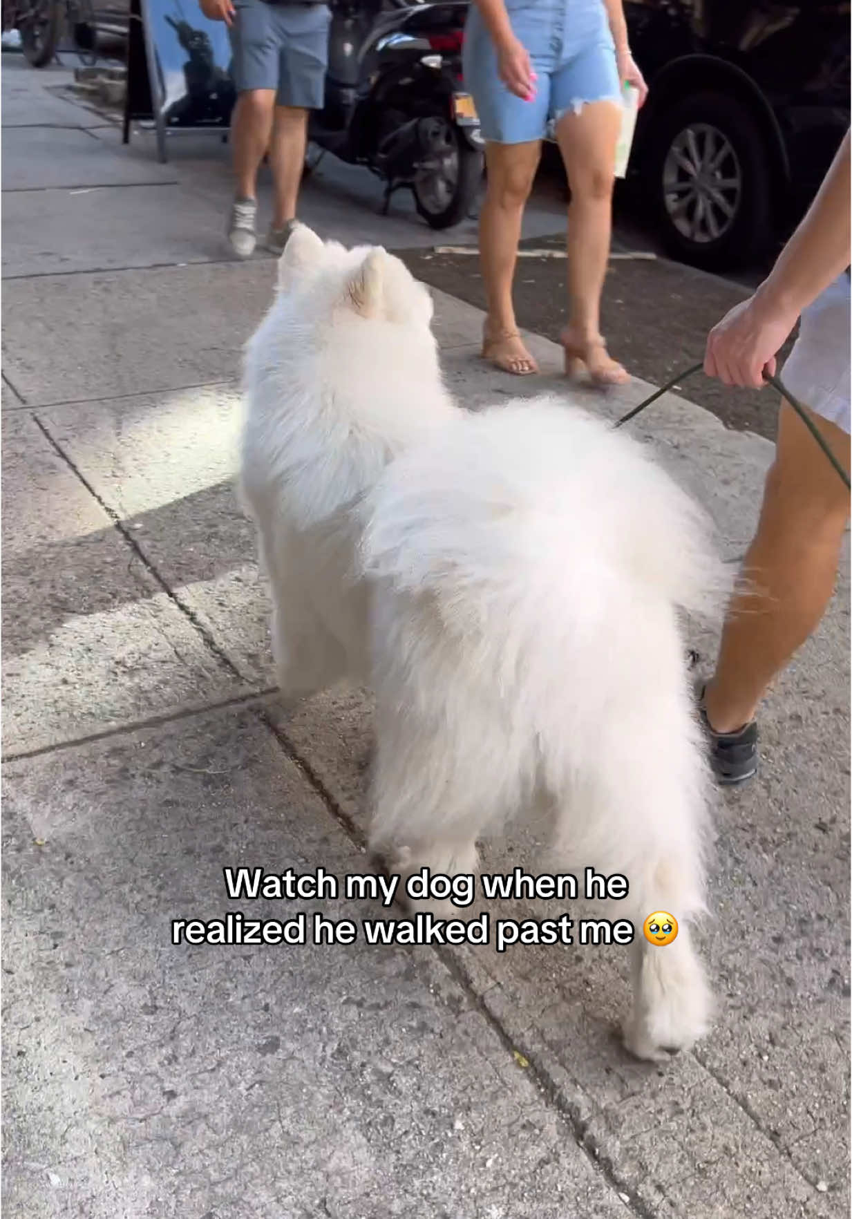 We’re back in New York so sharing this | Charishma + Boomer (@life.with ...