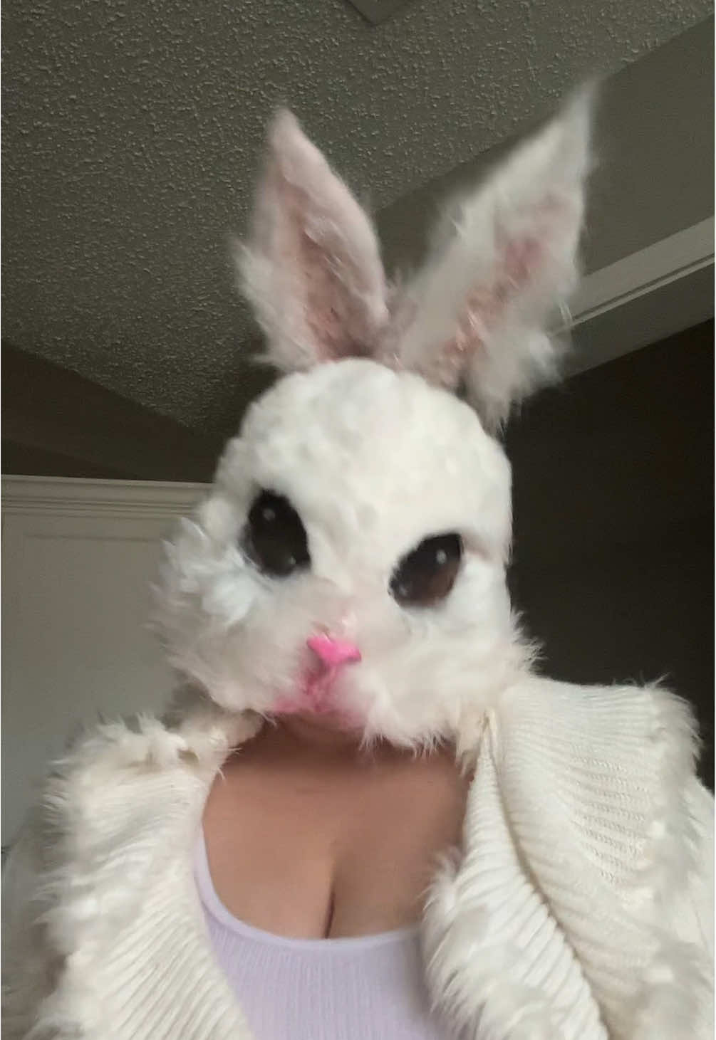 Prisma (@probablyprisma) - Urlebird