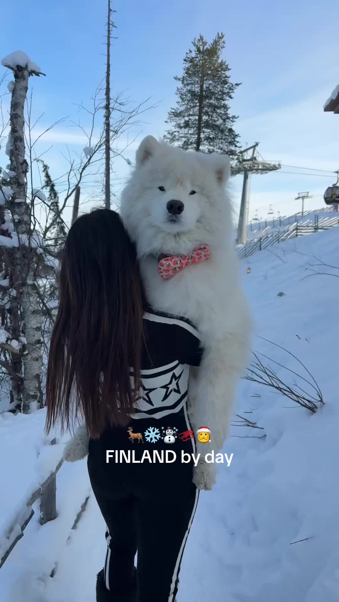 FINLAND is absolutely magical, which | Charishma + Boomer (@life.with.a ...