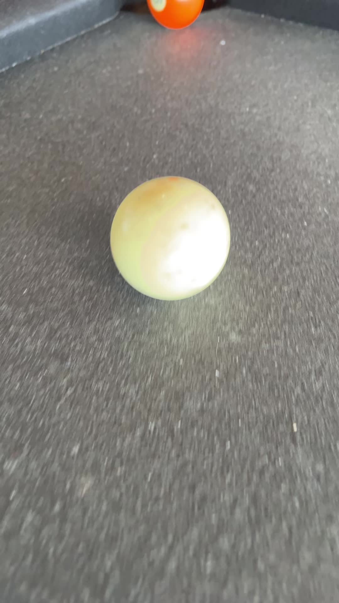 alwayssofia (@sofiasfunlittlesecret) - Urlebird